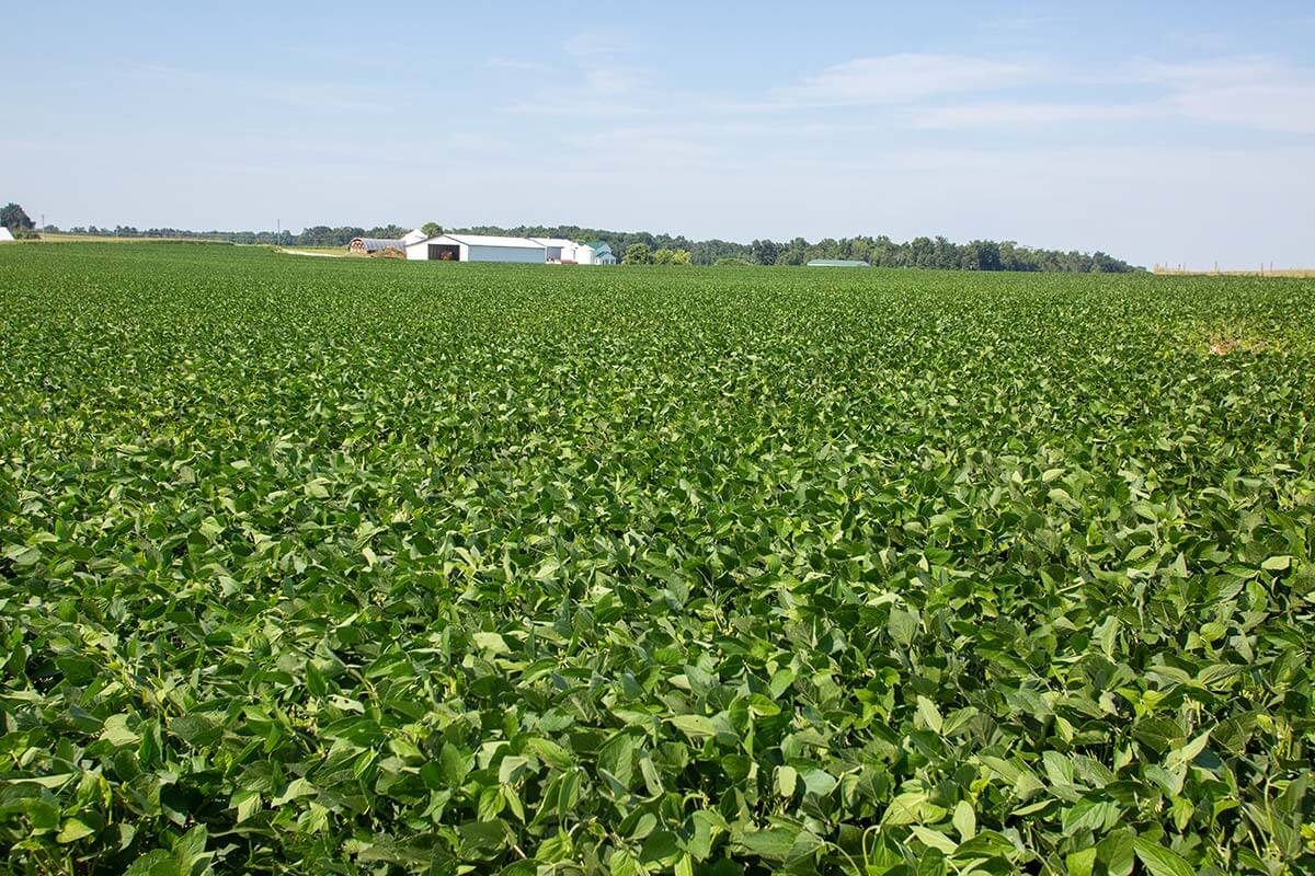 American Relief Act Insights for 2025 - Farm Credit Mid-America